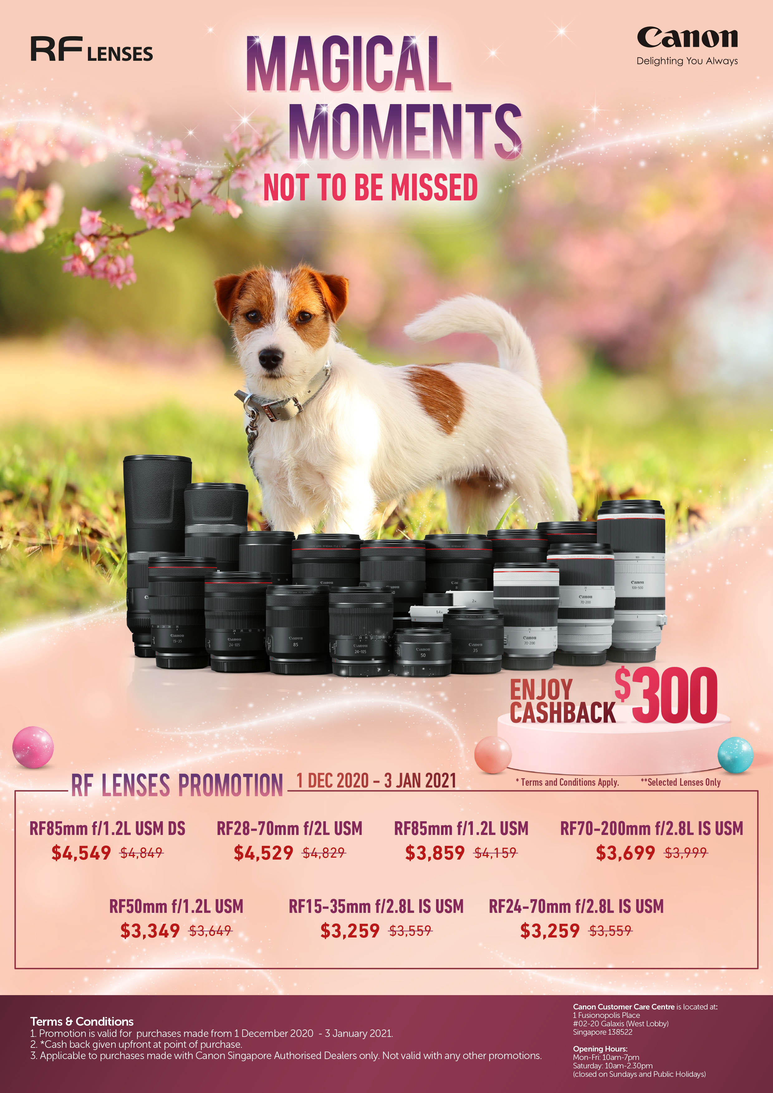 Canon Promotion for December 2020 | Alan Photo